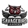 Student Numeracy Assessment & Practice (SNAP) – SavageBird Learning